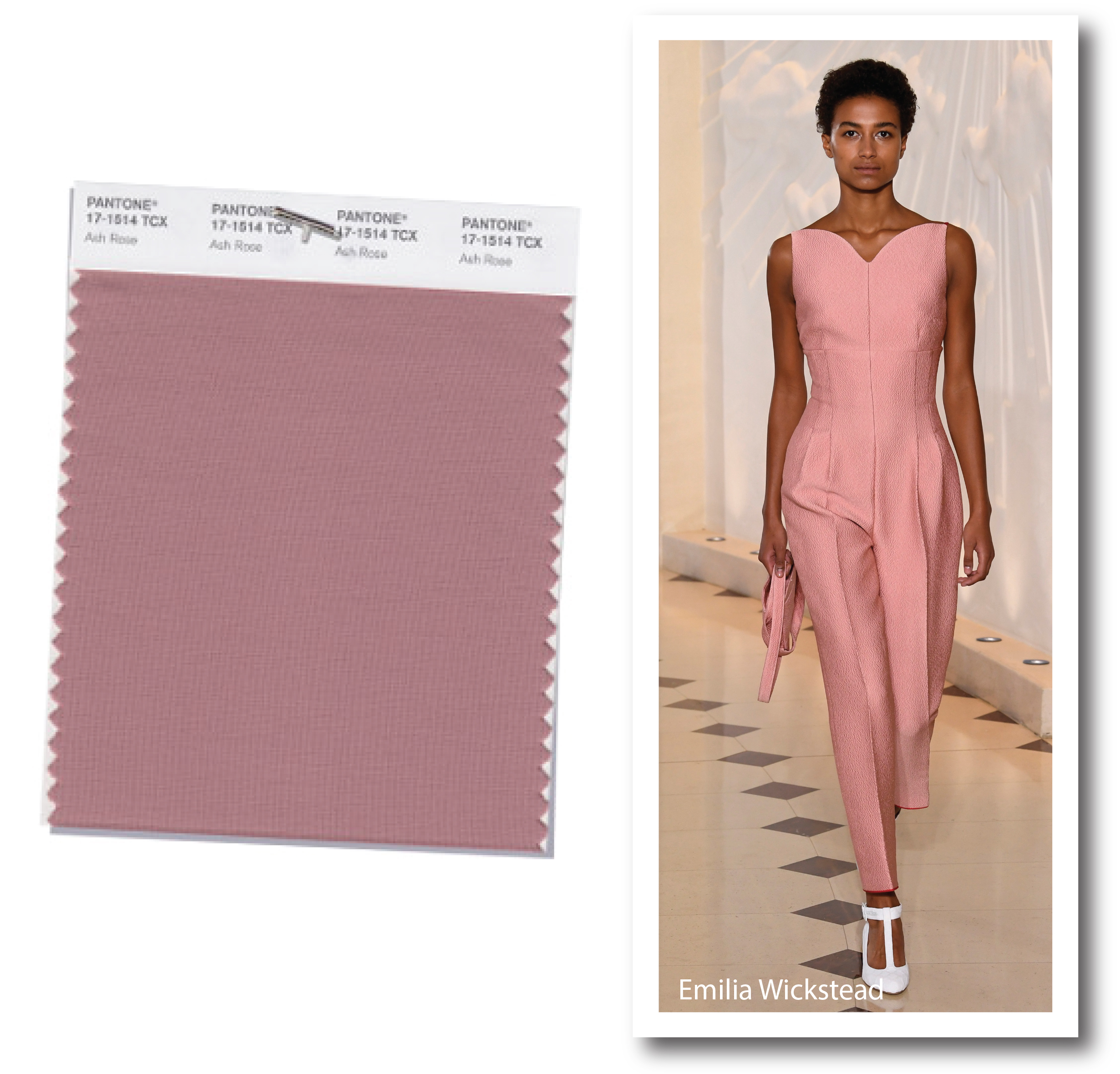 Quale sarà il colore del 2018? Ecco tutti i candidati (e i loro ...