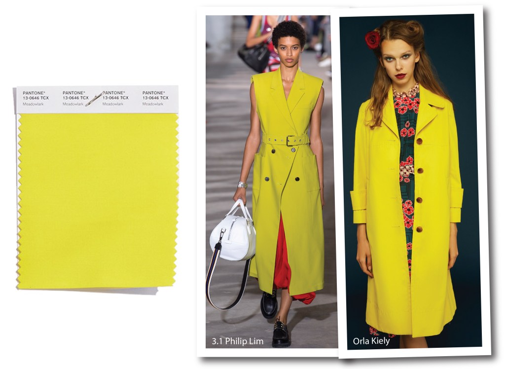 Quale sarà il colore del 2018? Ecco tutti i candidati (e i loro ...